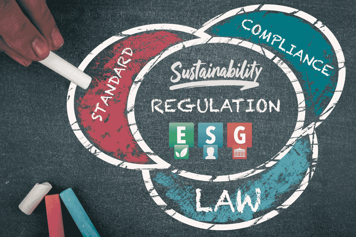 GRI, ESRS e VSME: come orientarsi tra gli standard di sostenibilità ...
